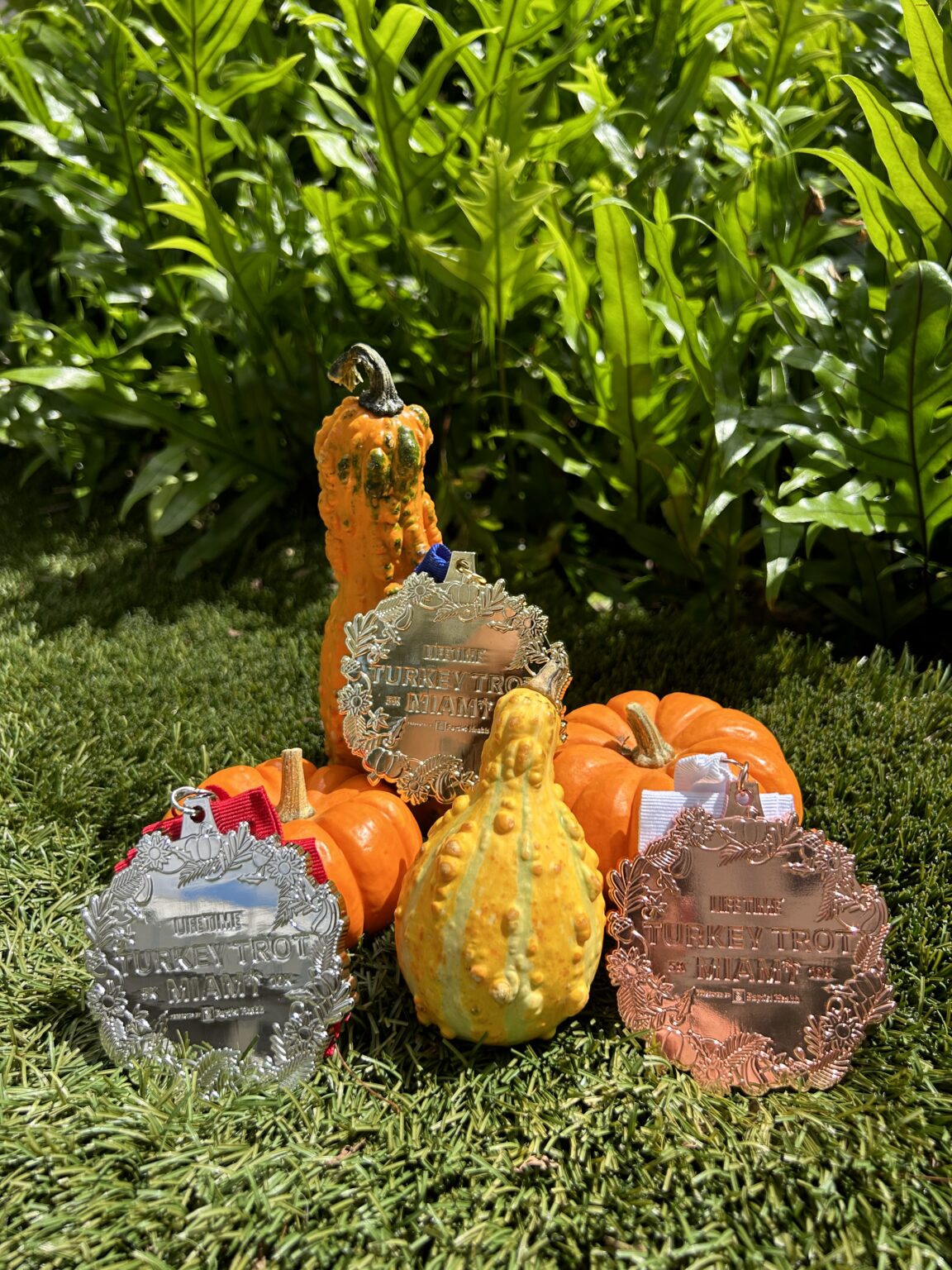 Results - Turkey Trot Miami 5K|10K